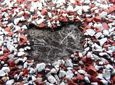 Hail Damage Vs. Roof Blistering - Milestone Insurance